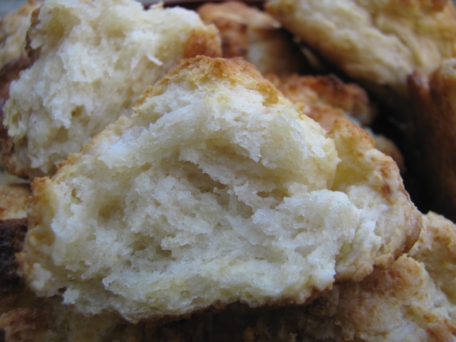 Tate's Kitchen: best drop biscuits