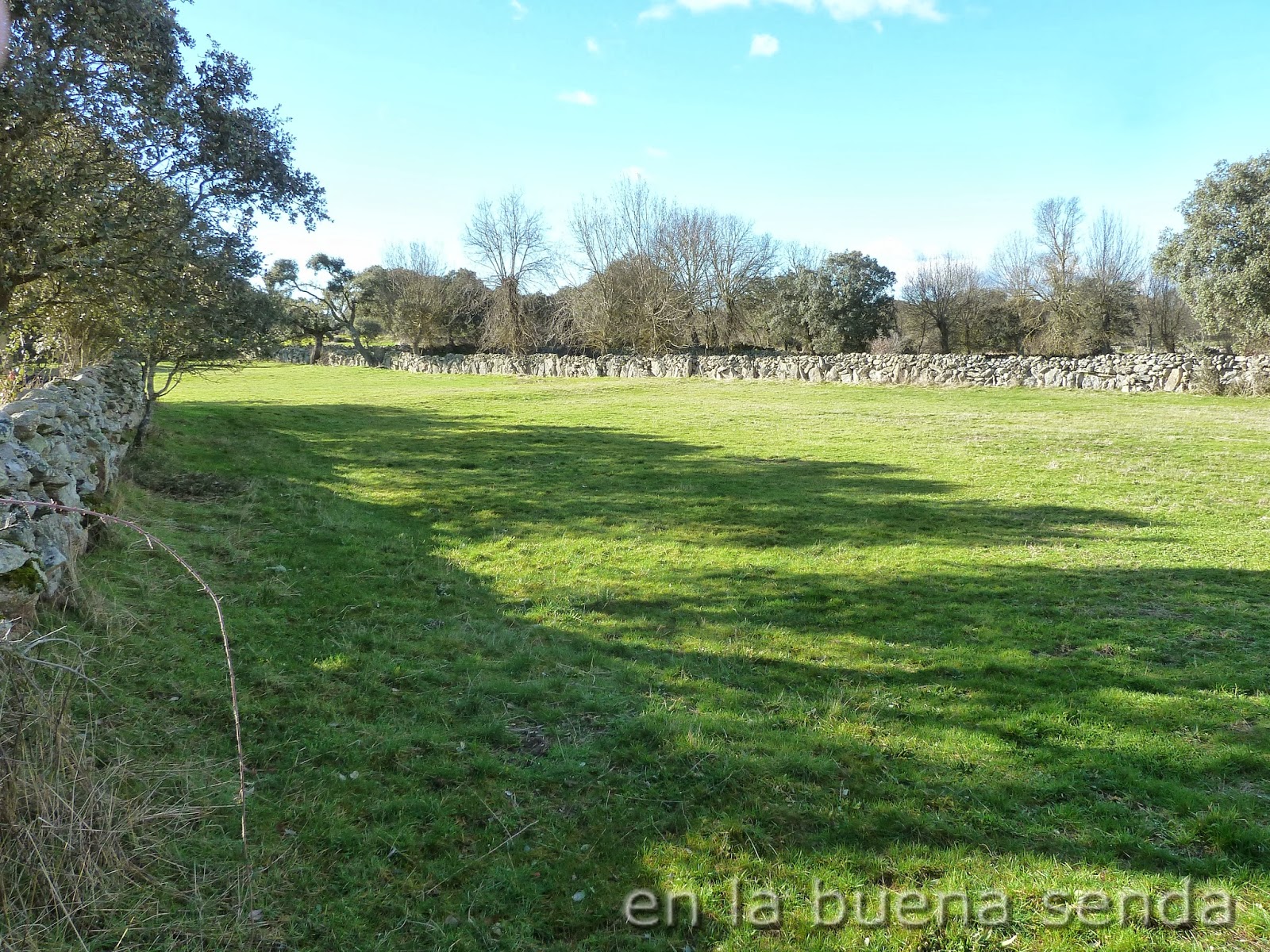 en la buena senda: Por tierras de Sayago