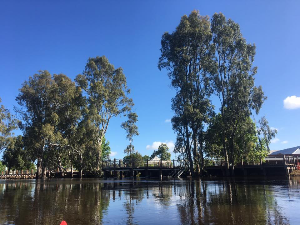 Murray River Kayak.: Murray river Paddle 2016 Day 18 Barham - Benjaroop