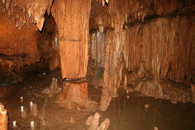 Amy's Creative Pursuits: Onondaga Cave State Park
