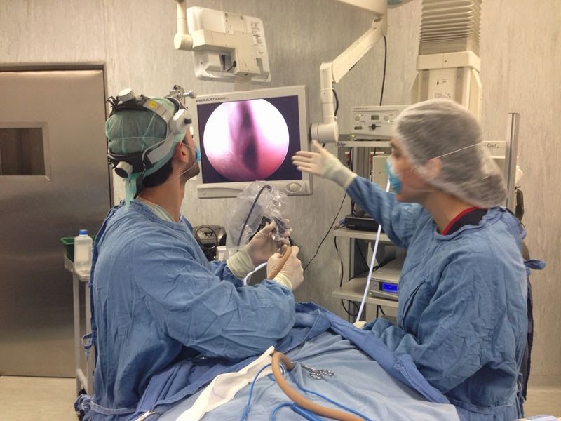 Dr. Alan Burgos. Otorrinolaringología y Cirugía Plástica Facial ...