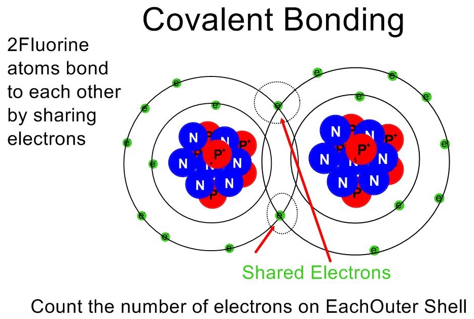 F2 Covalent Bond
