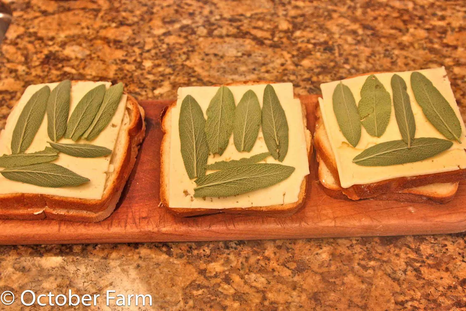 Halloween Fungus Sandwiches aka Mushroom Sandwiches with Cheese and Sage