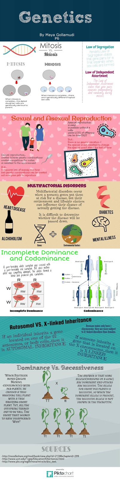 Maya G. Biology : November 2015