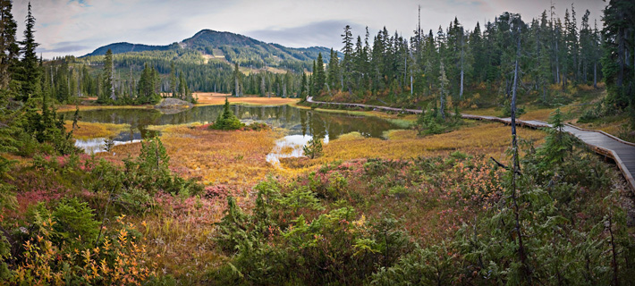 Strathcona Park: Art, Nature, History Weekend