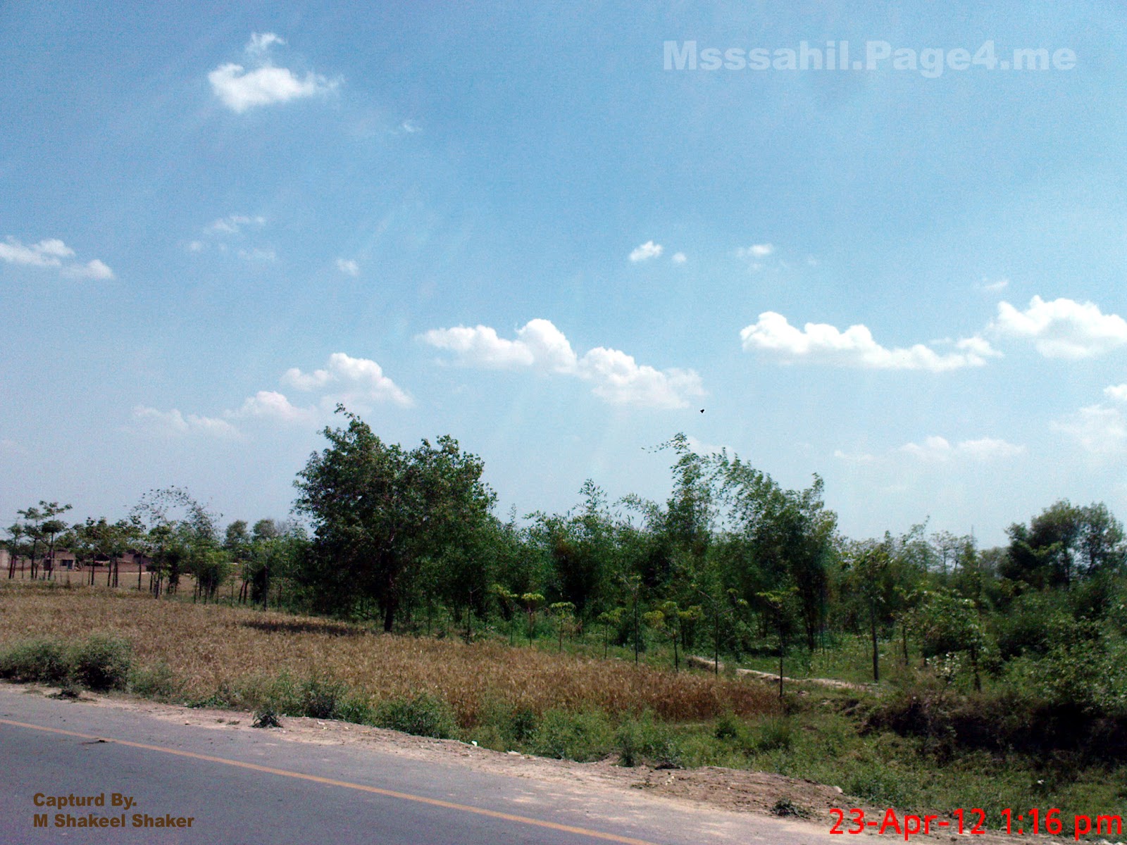 Pattoki City: PATTOKI IMAGES