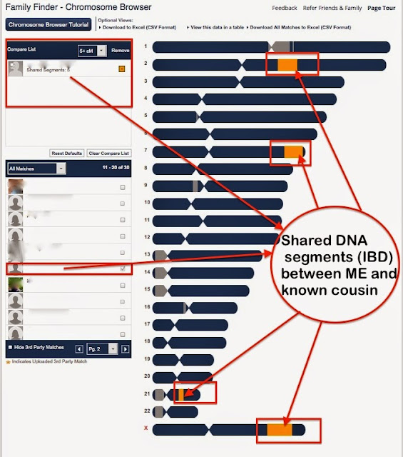 Roots & Recombinant DNA: Ethnicity Chromosome Mapping & Determining ...