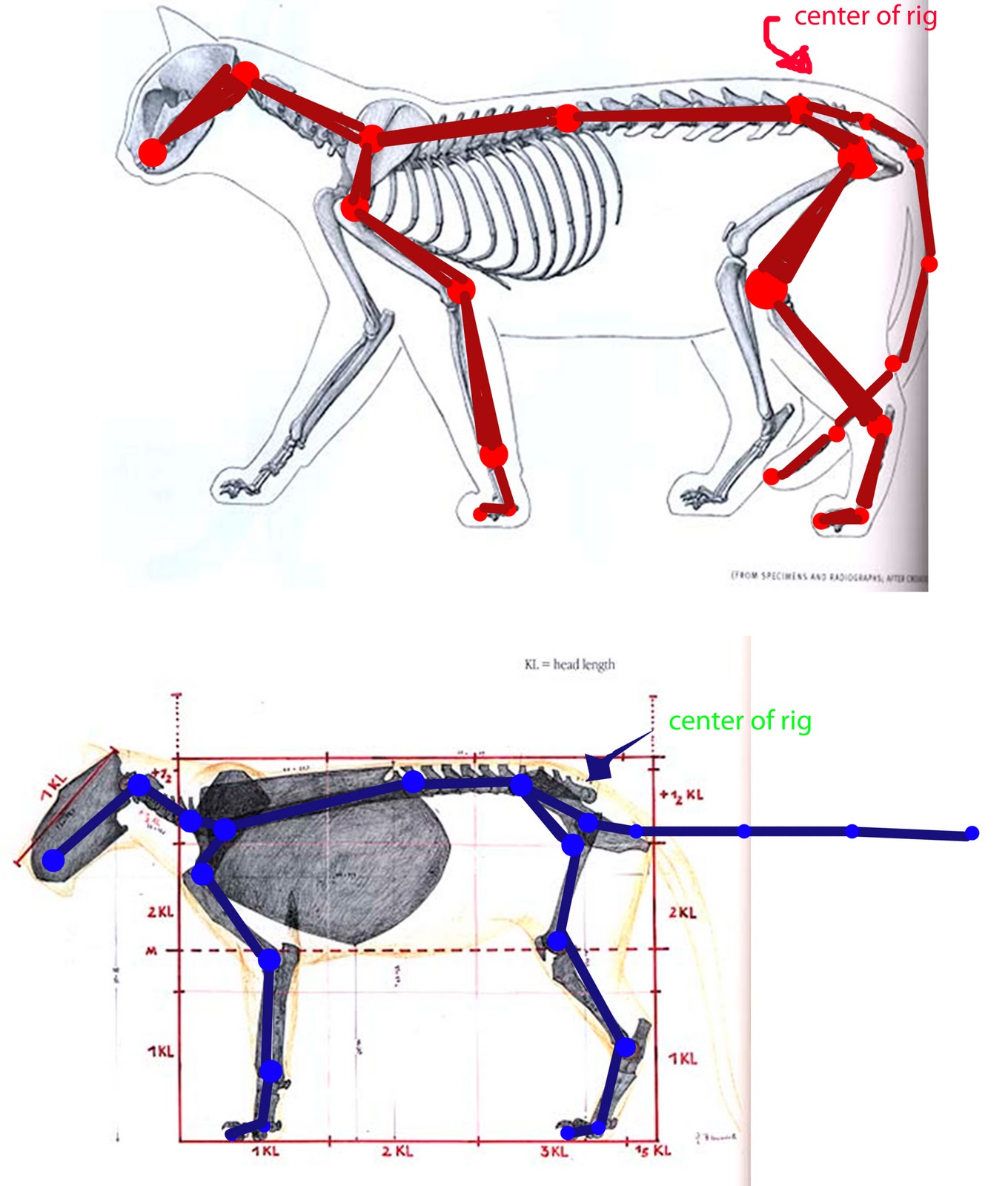 Art made by: Heather Bernardin: Week 4 homework: Cat rigging