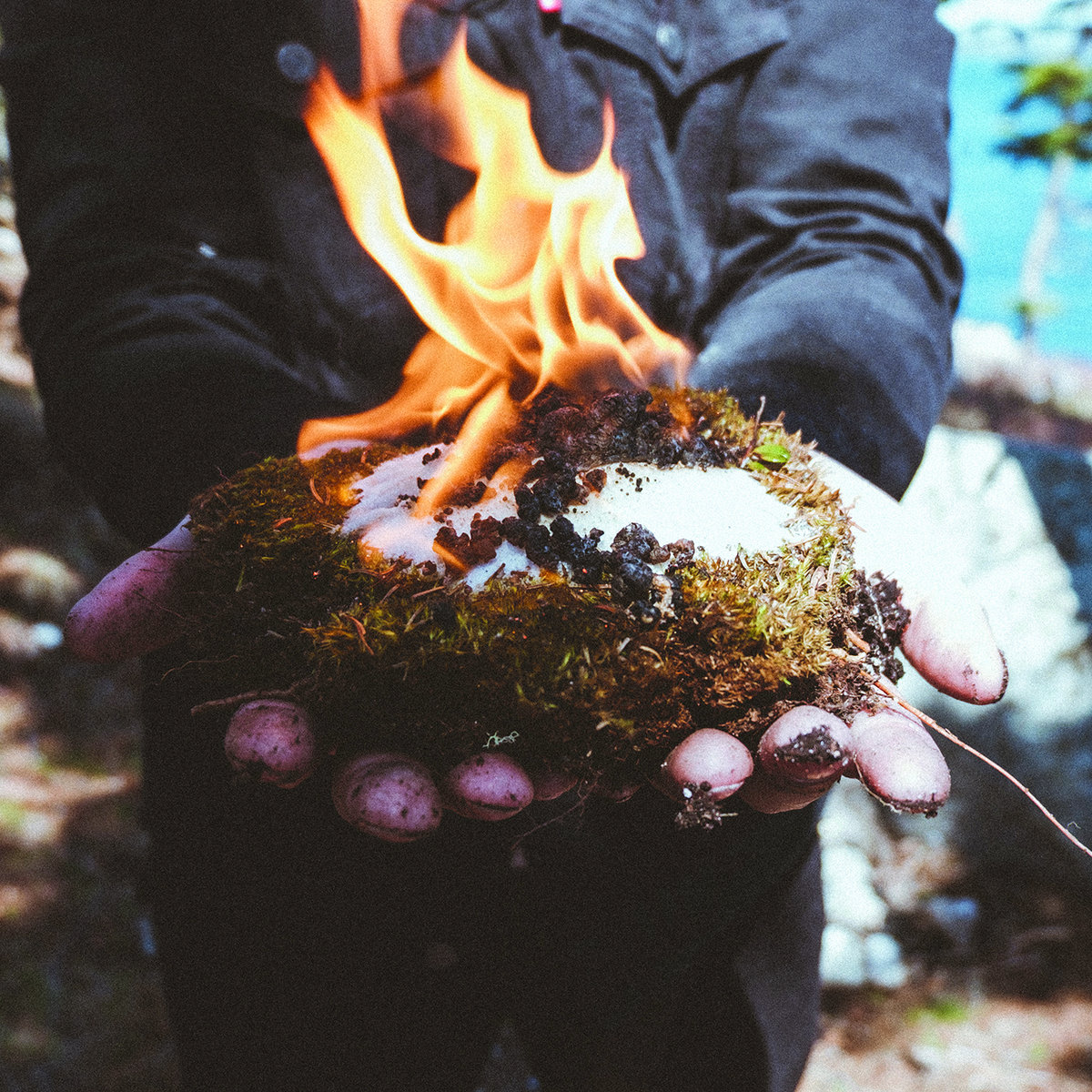 The Sludgelord: ALBUM REVIEW: Botfly – “Botfly”