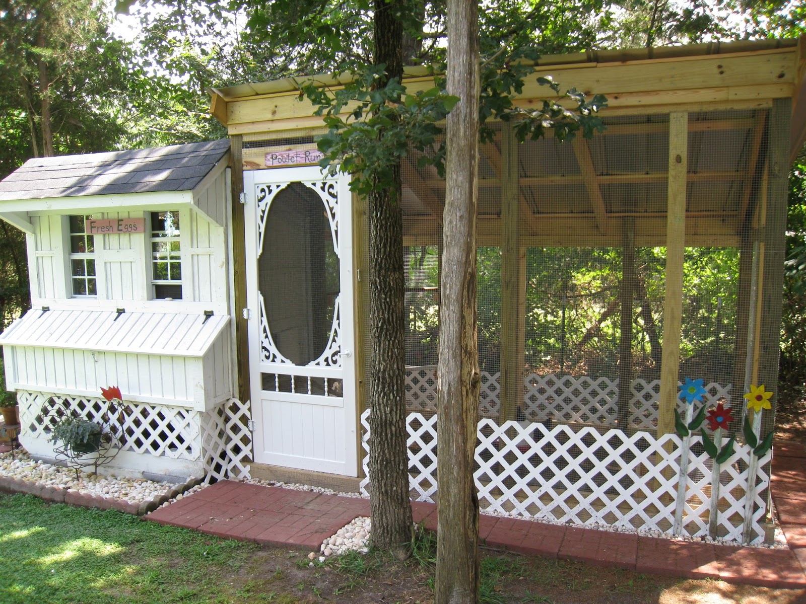 Repurposed For Life: The Taj Mahal Chicken Run