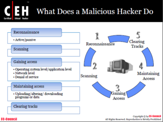 People and Technology: Ethical Hacking
