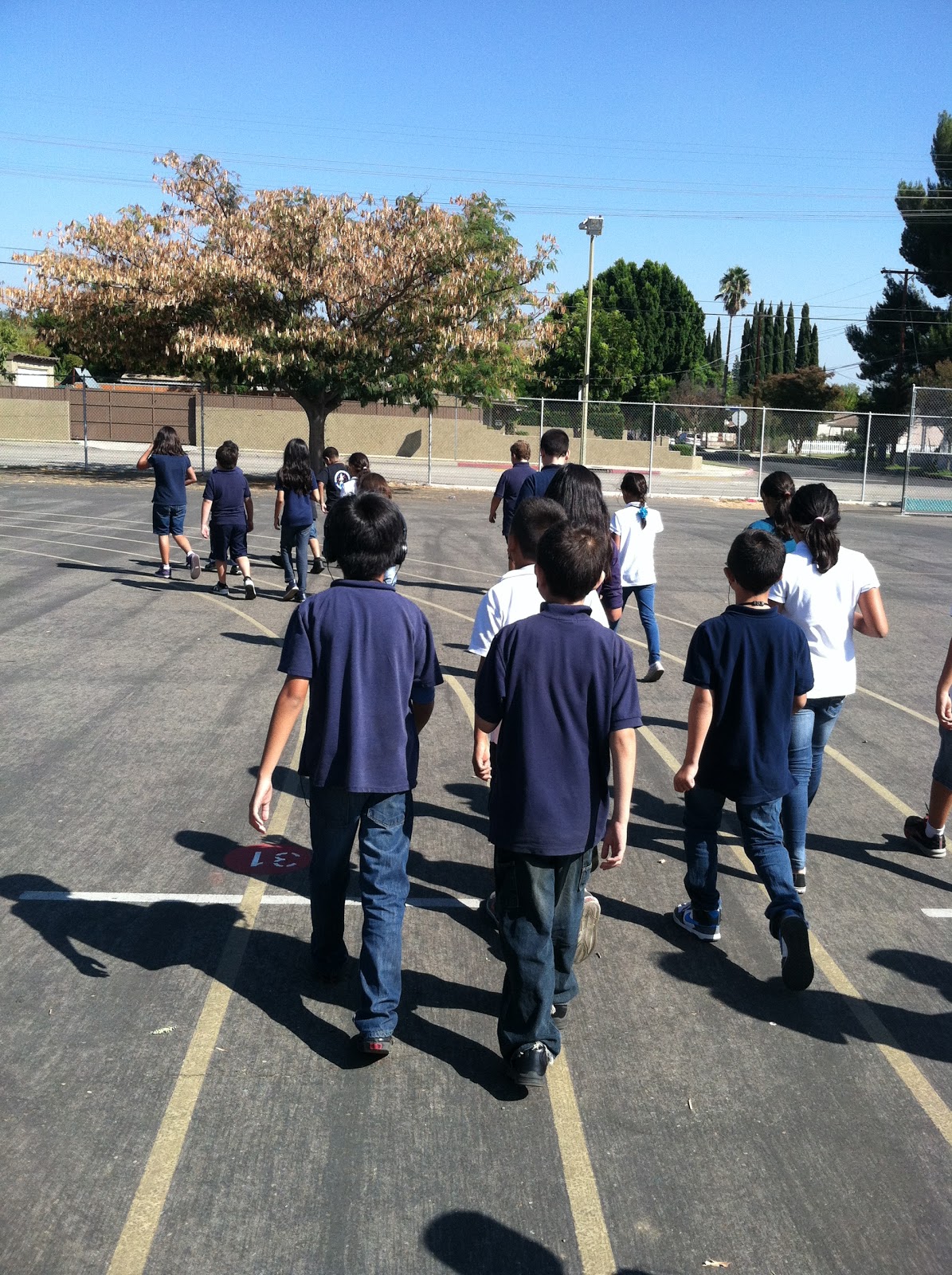 The Walking Classroom: Our First Walk | Teaching in Room 6