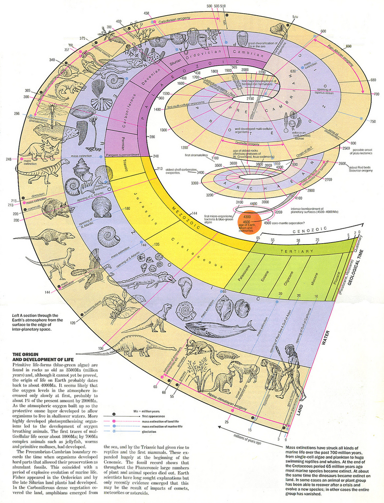 Beautiful lies - infographics inspirations: natural history infographics