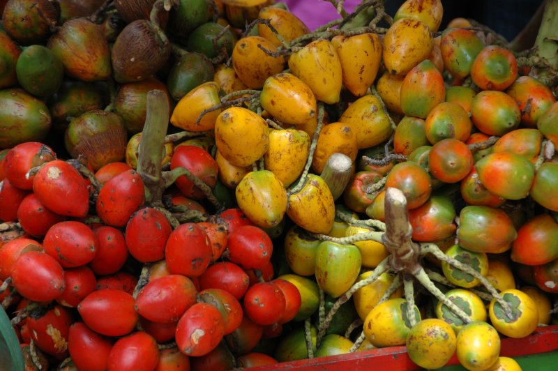 CORREO RECIBIDO: El Chontaduro, una Mina de Oro