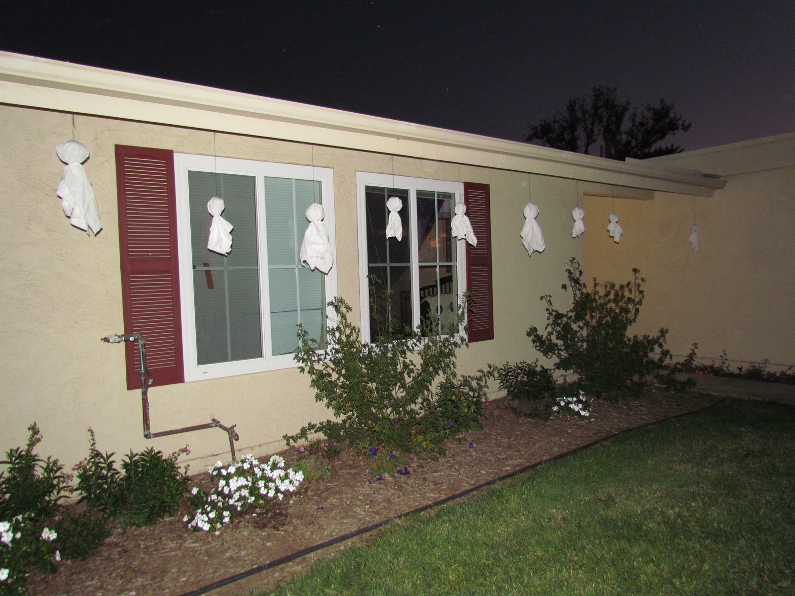 Heather's world as it is and changes: Hanging Ghosts