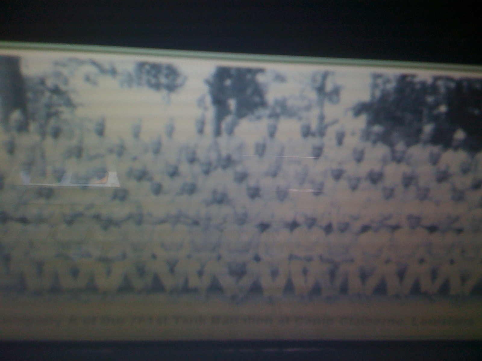 THE BLACK SOCIAL HISTORY:: BLACK SOCIAL HISTORY : AFRICAN AMERICAN ...