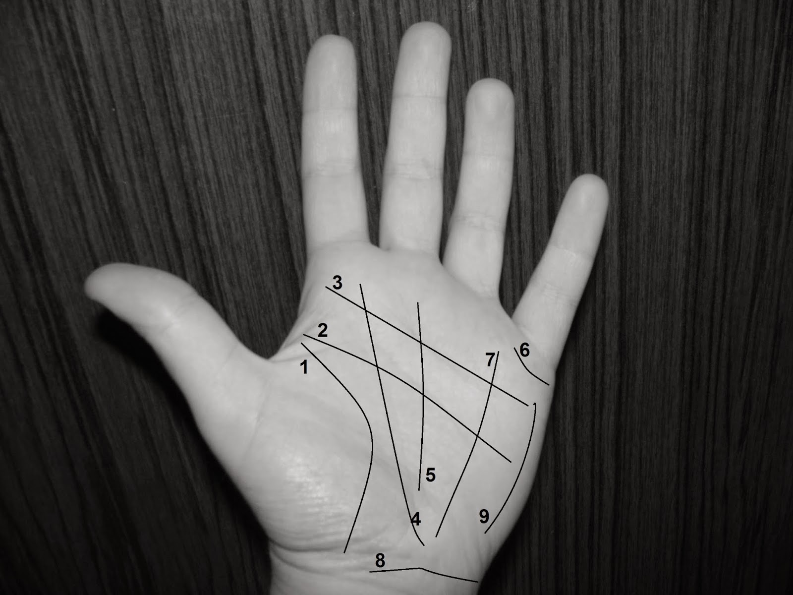 CAŁA POLSKA MYJE RĘCE: Chiromancja
