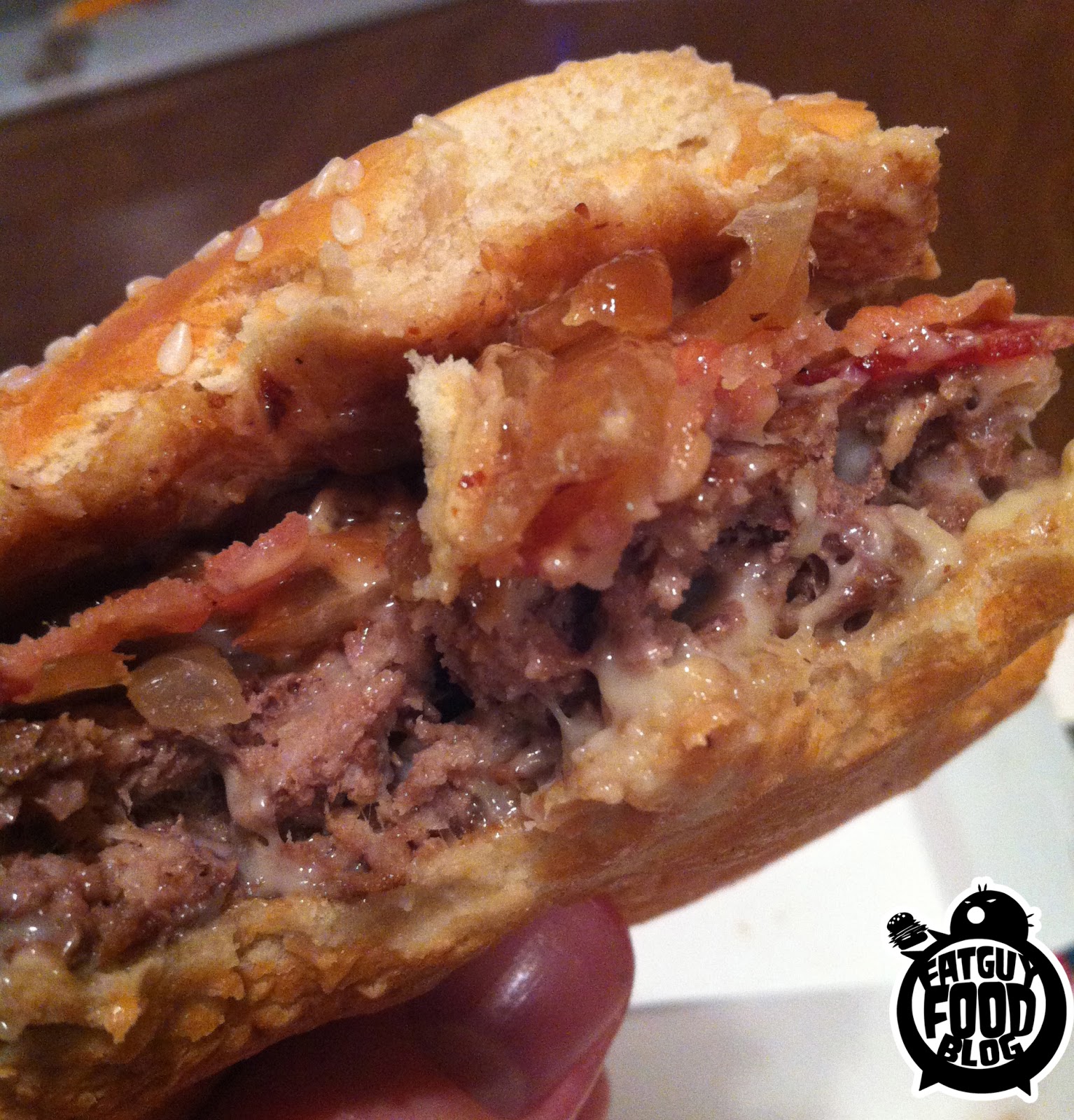 FATGUYFOODBLOG: Mcdonalds' CBO and Holiday Mint Mcflurry!!