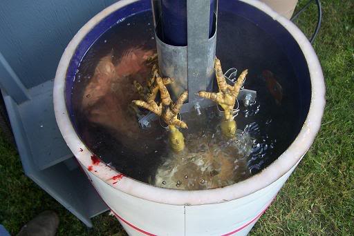 Anyone Can Build AWhizbang Chicken Plucker: Introducing My Deluxe ...