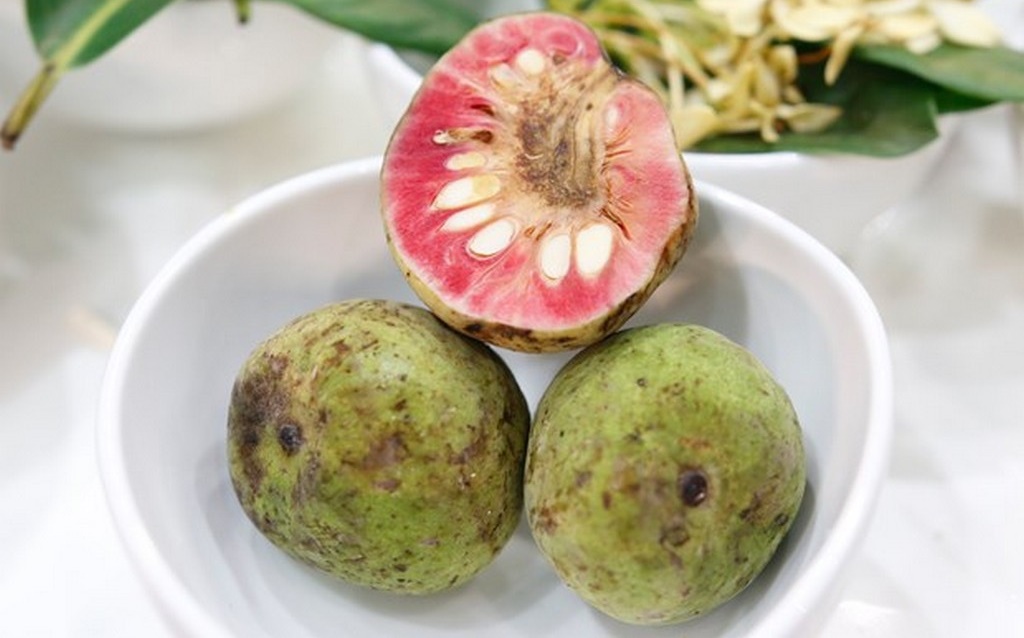 Trái chay rừng Quảng Ngã "hút hồn" có gì lạ - Trái cây Dũng mập