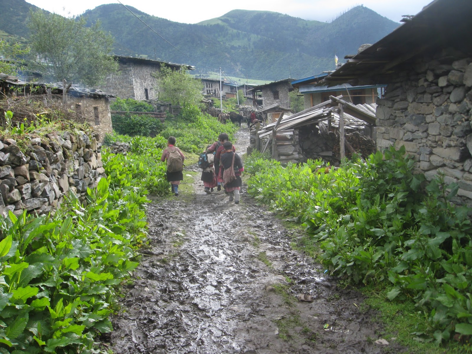 Yankee in Bhutan: What I Did On My Summer Vacation: MERAK