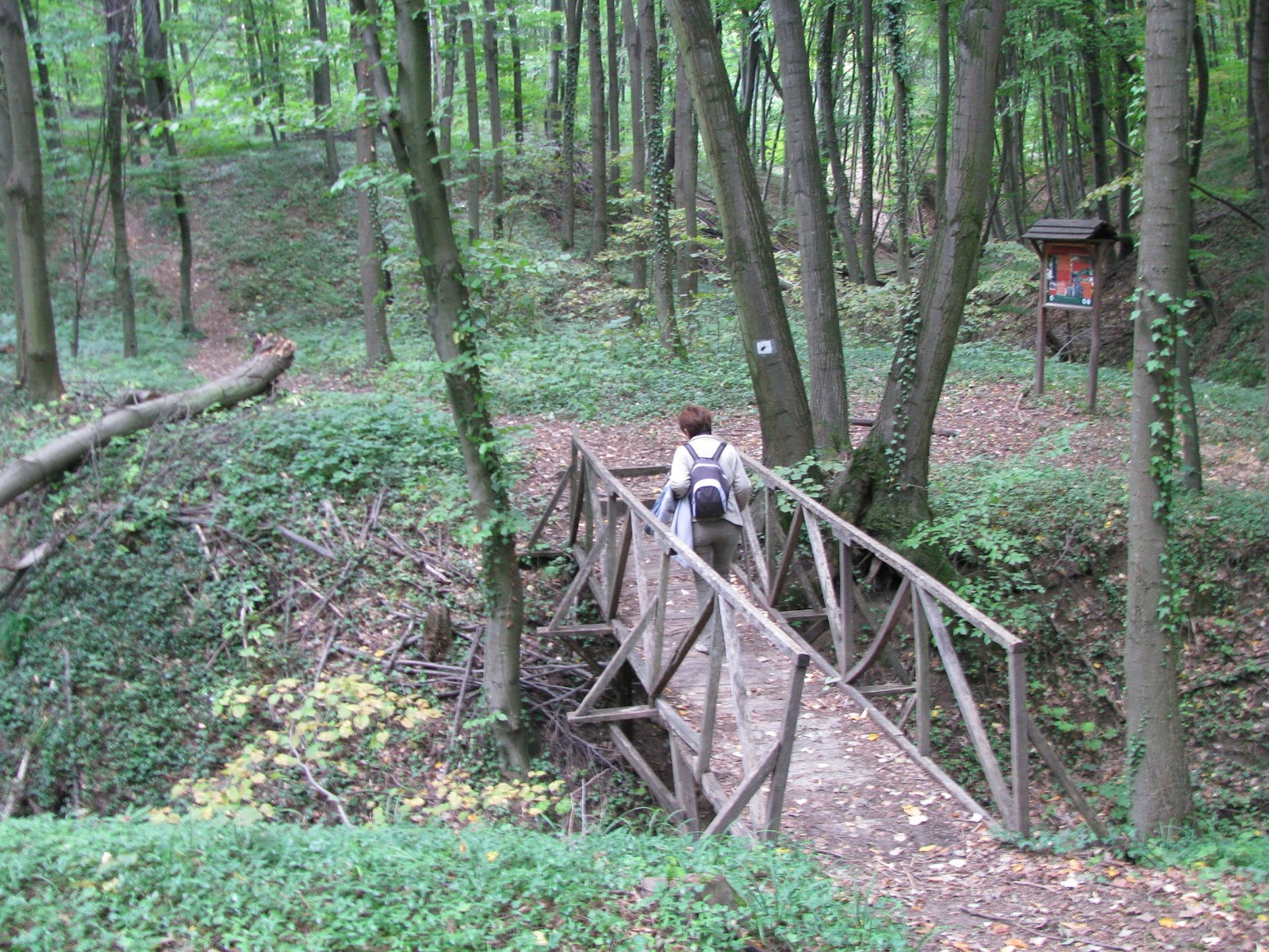 Magyar Kaland: Lengyel - Anna-fürdő kirándulás