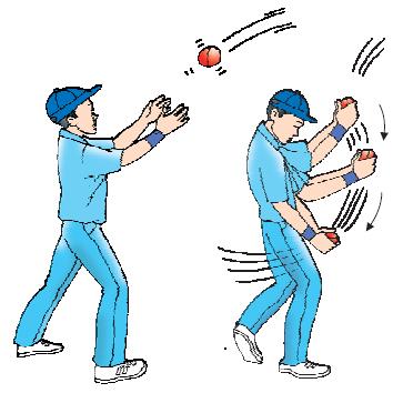 Motion: Law of Motion