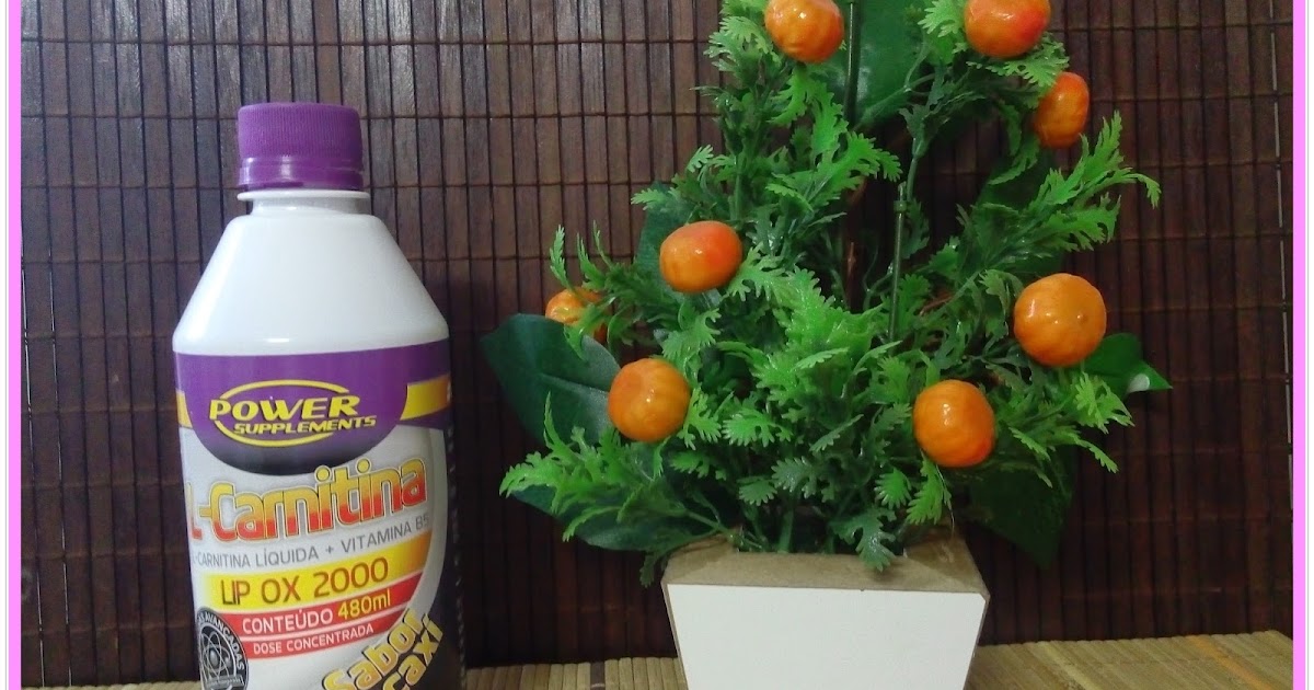 L-Carnitina Lip OX 2000 super concentrada da Power Supplements - Blog ...