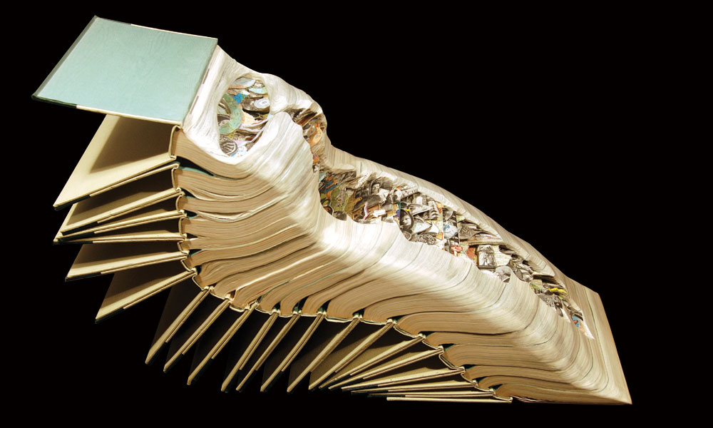 CEREBRAL BOINKFEST: Artist? Surgeon? Bookman?