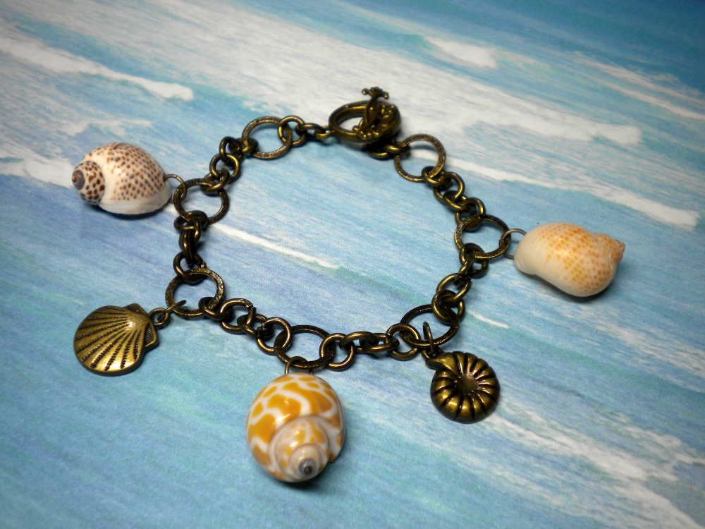Del's Shells: Florida Seashell Charm Bracelets