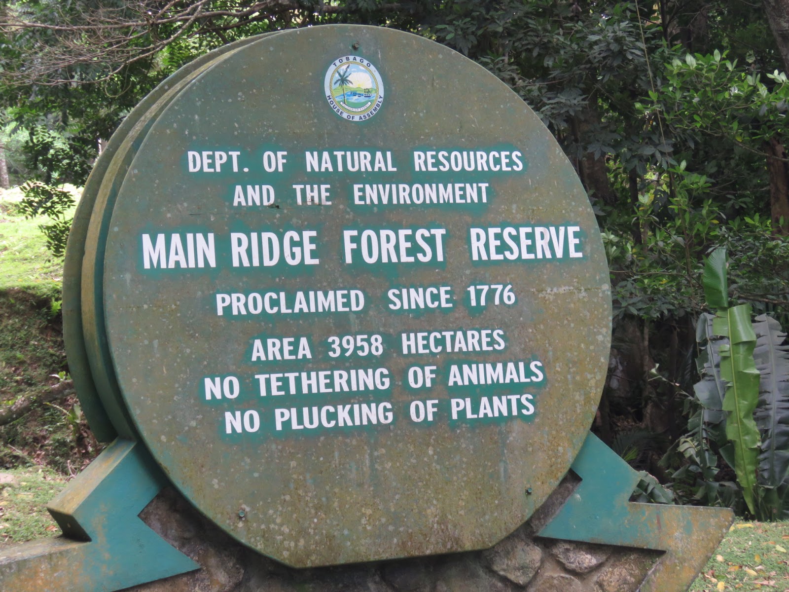 Bird & Travel Photos, Birding Sites, Bird Information: TOBAGO MAIN ...