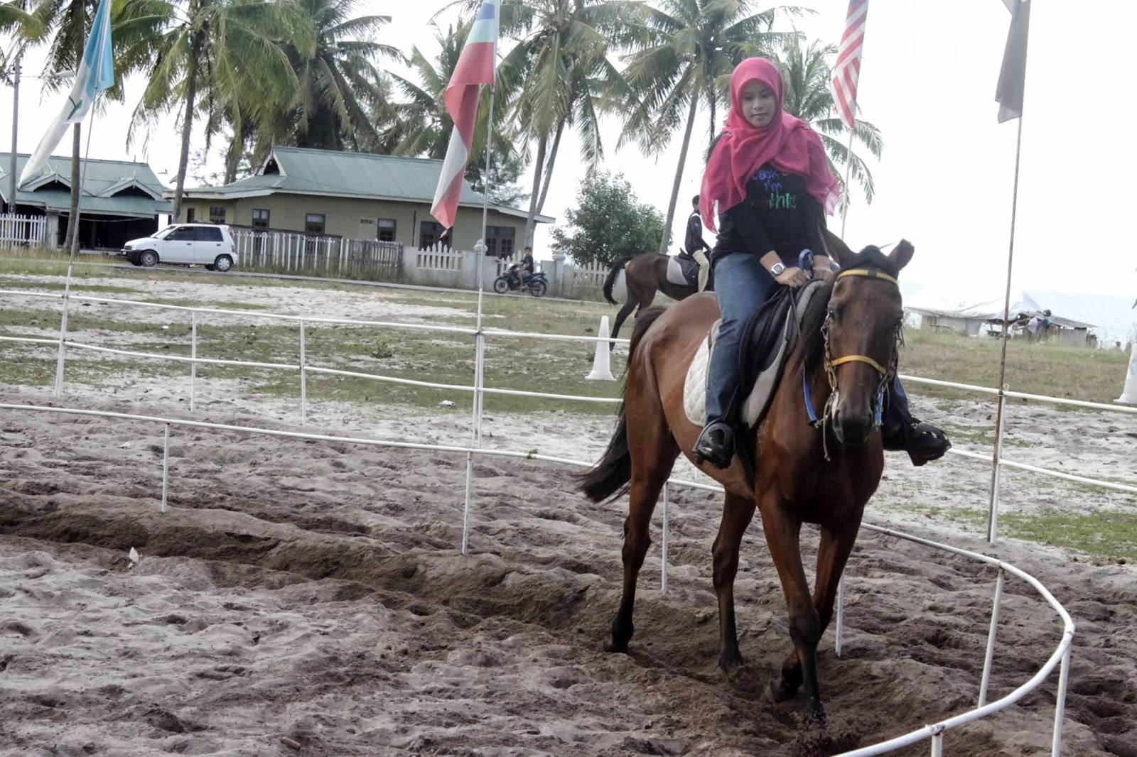 Kelab Ekuin UMT: Latihan Berkuda 2