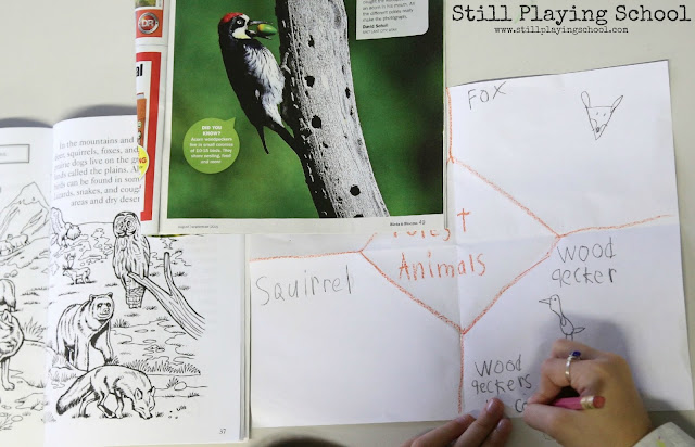 Forest Animals Foldable Graphic Organizer | Still Playing School