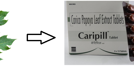 Modern Medicines: Caripill: A Pill with Papaya Leaf Extract to Fight Dengue