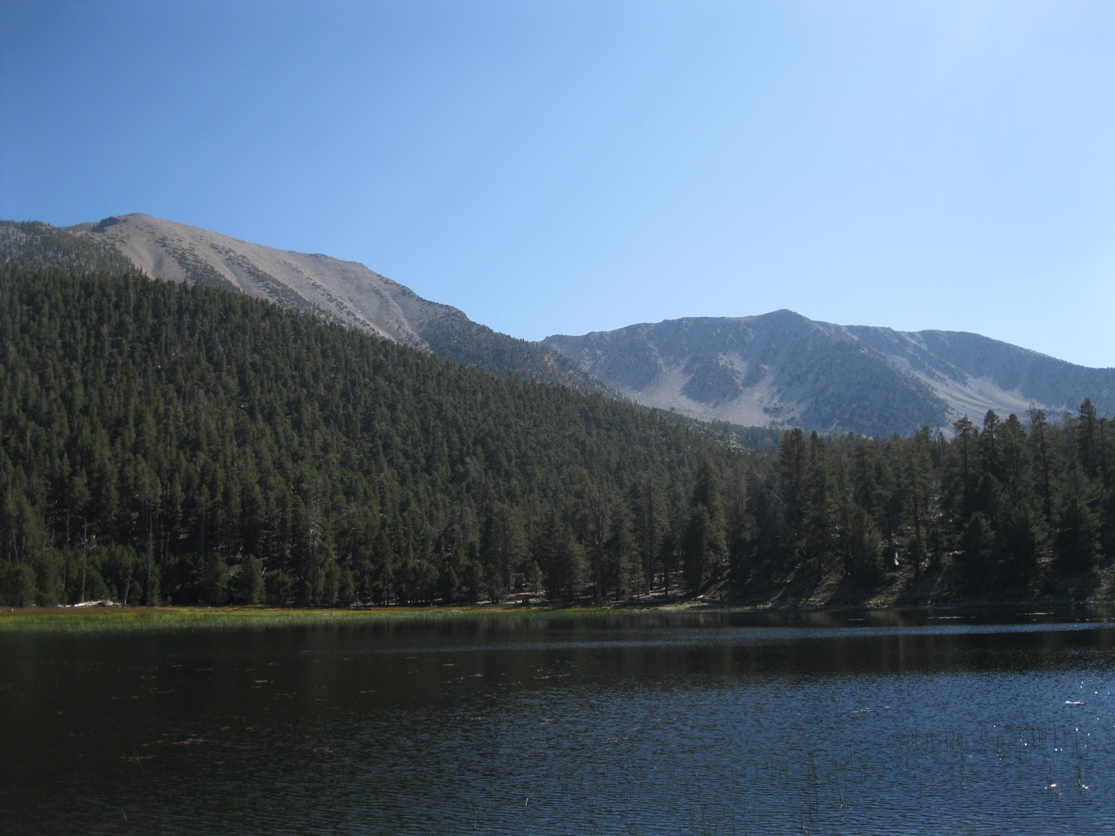 Wildlife in Southern California: Ecosystems