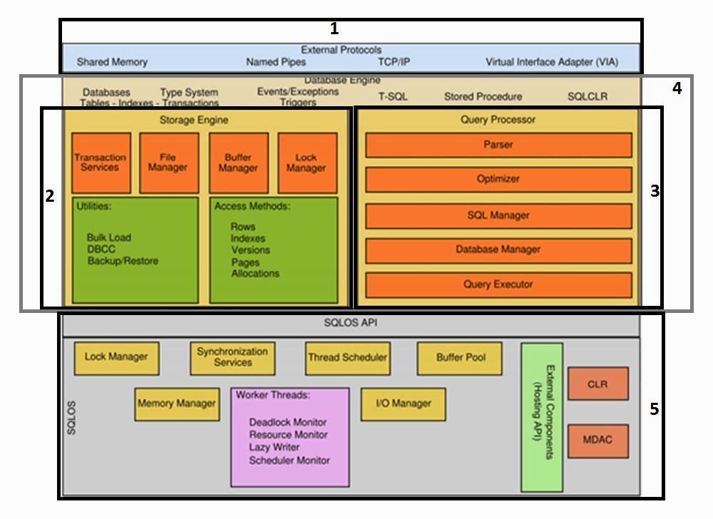 SQL Server | Thallita Celeste