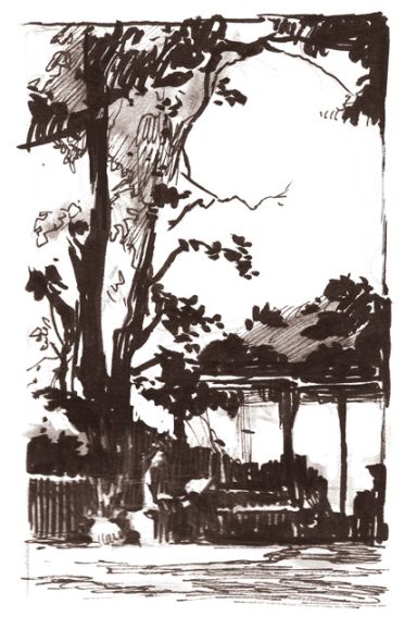 Susan Luo Sketchblog