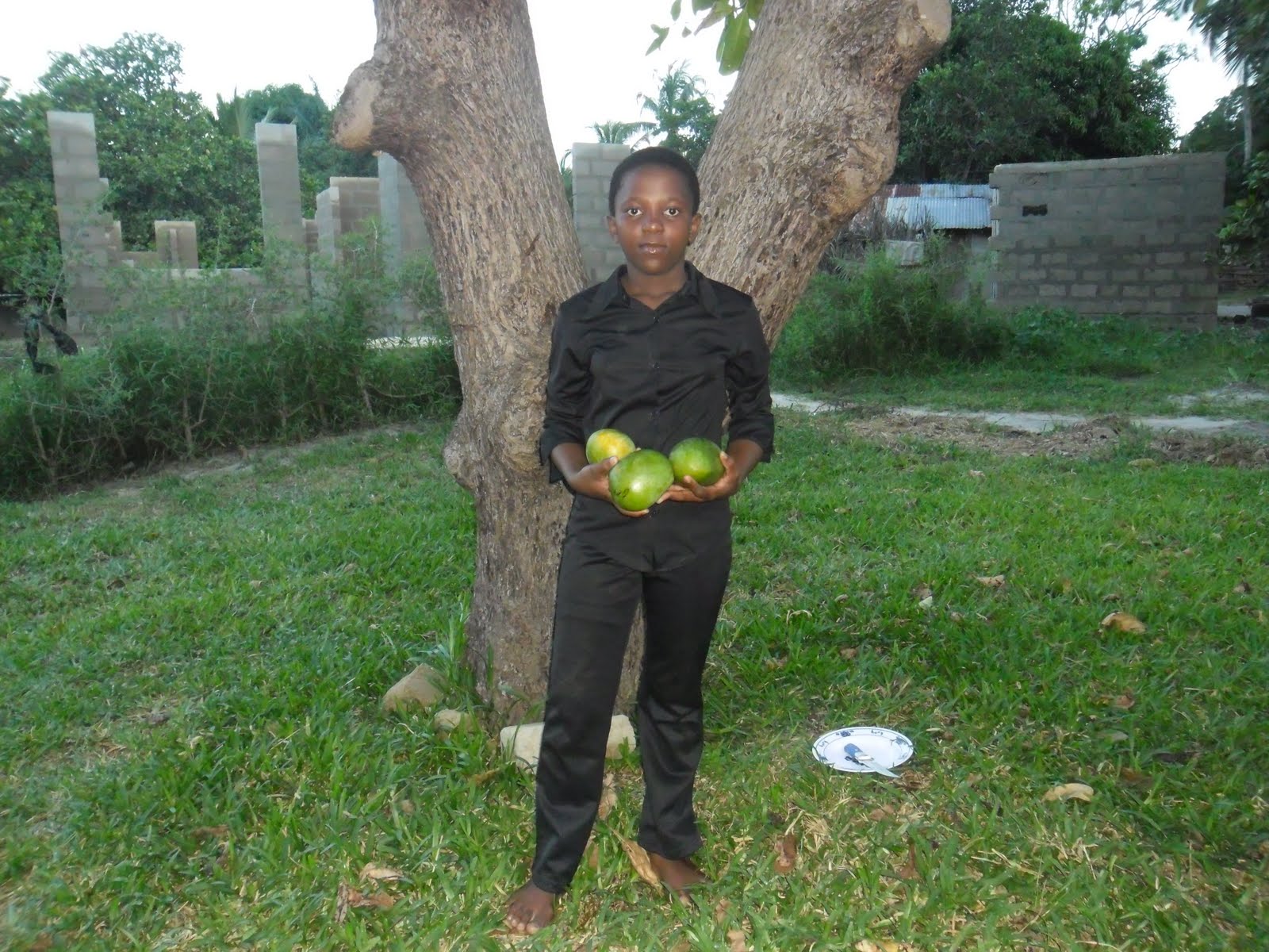 Banzi wa Moro: Embe dodo-zawadi kutoka Matombo