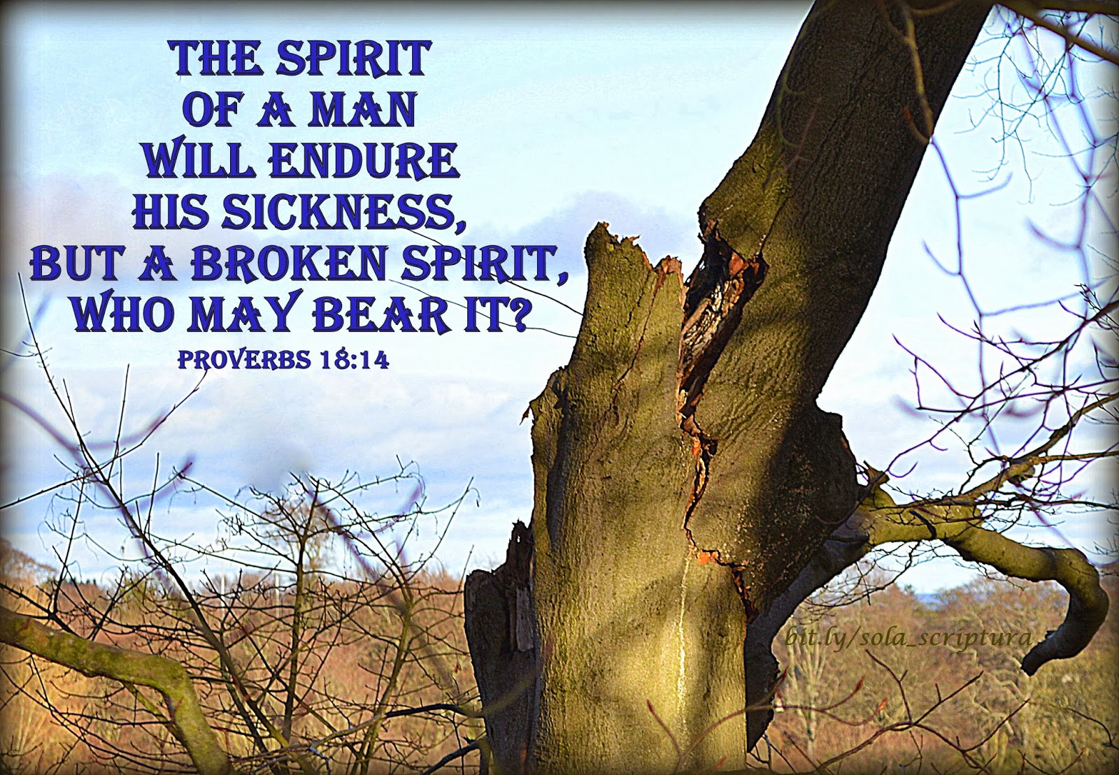 Sola Scriptura: Proverbs 18:14