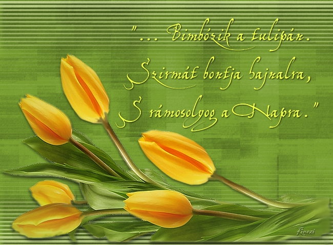 Kinszi Böngészde: Tavaszi képek - idézettel