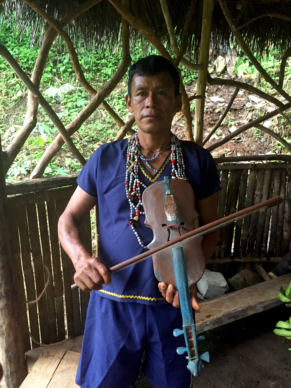 La Guayusa una mezcla de riqueza ancestral, salud y energía