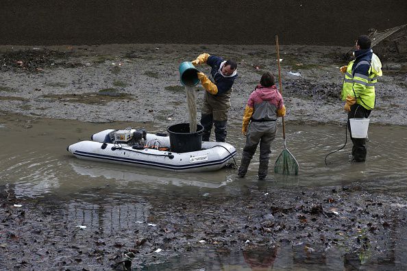 This Canal Wasn't Drained For 15 Years And When It Finally Was, This Is ...