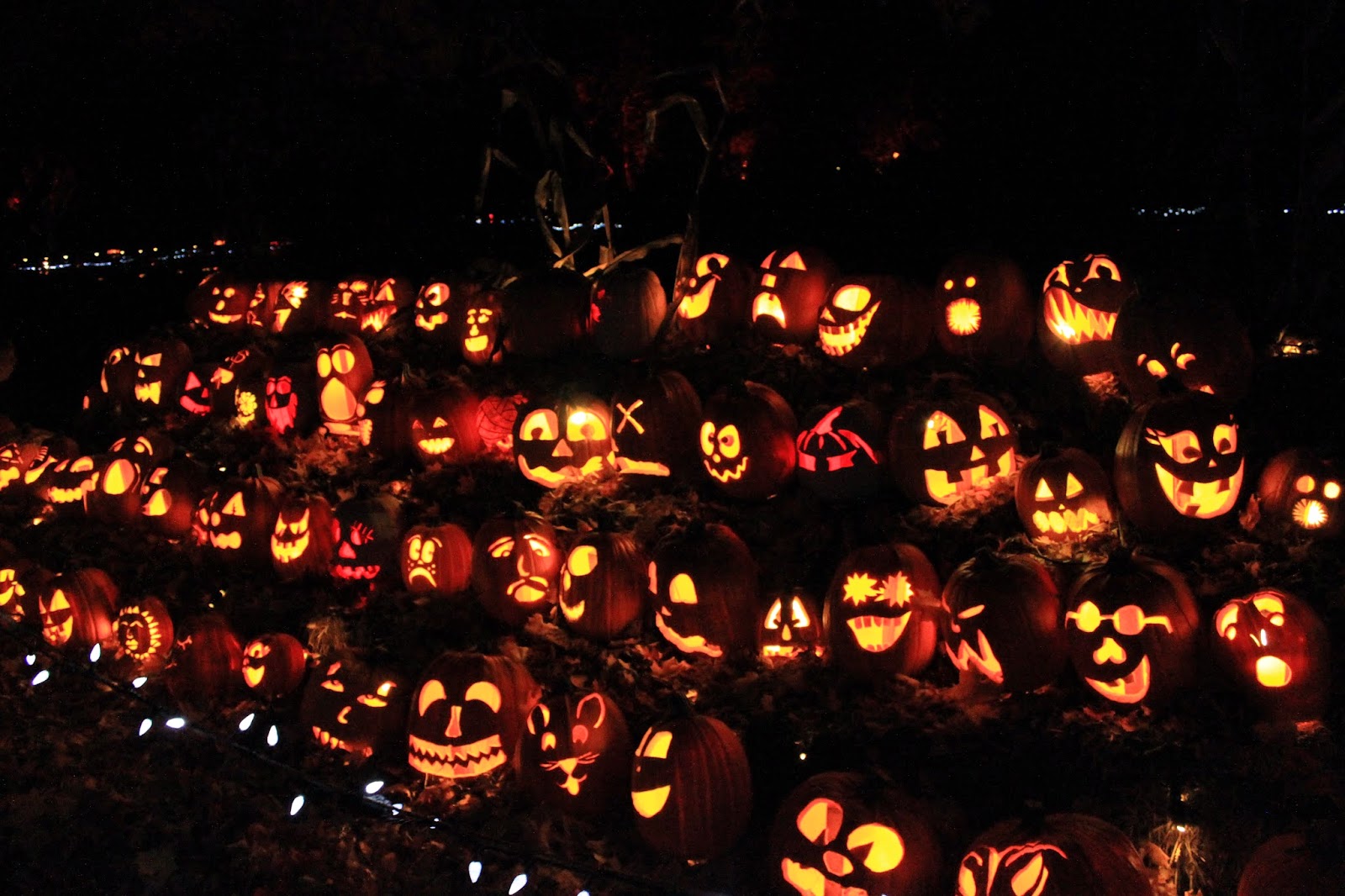 Simpson Eco Farms: Pumpkin Inferno! (^,,,^) Upper Canada Village (^,,,^)