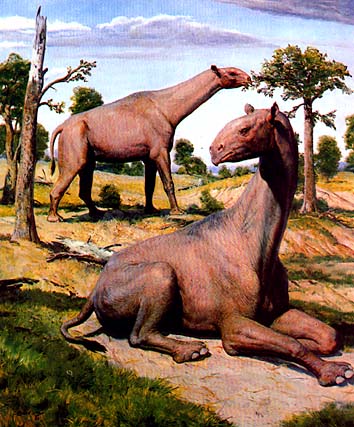 Violenta Belleza: El Mamifero Terrestre Mas Grande de Todos Los Tiempos