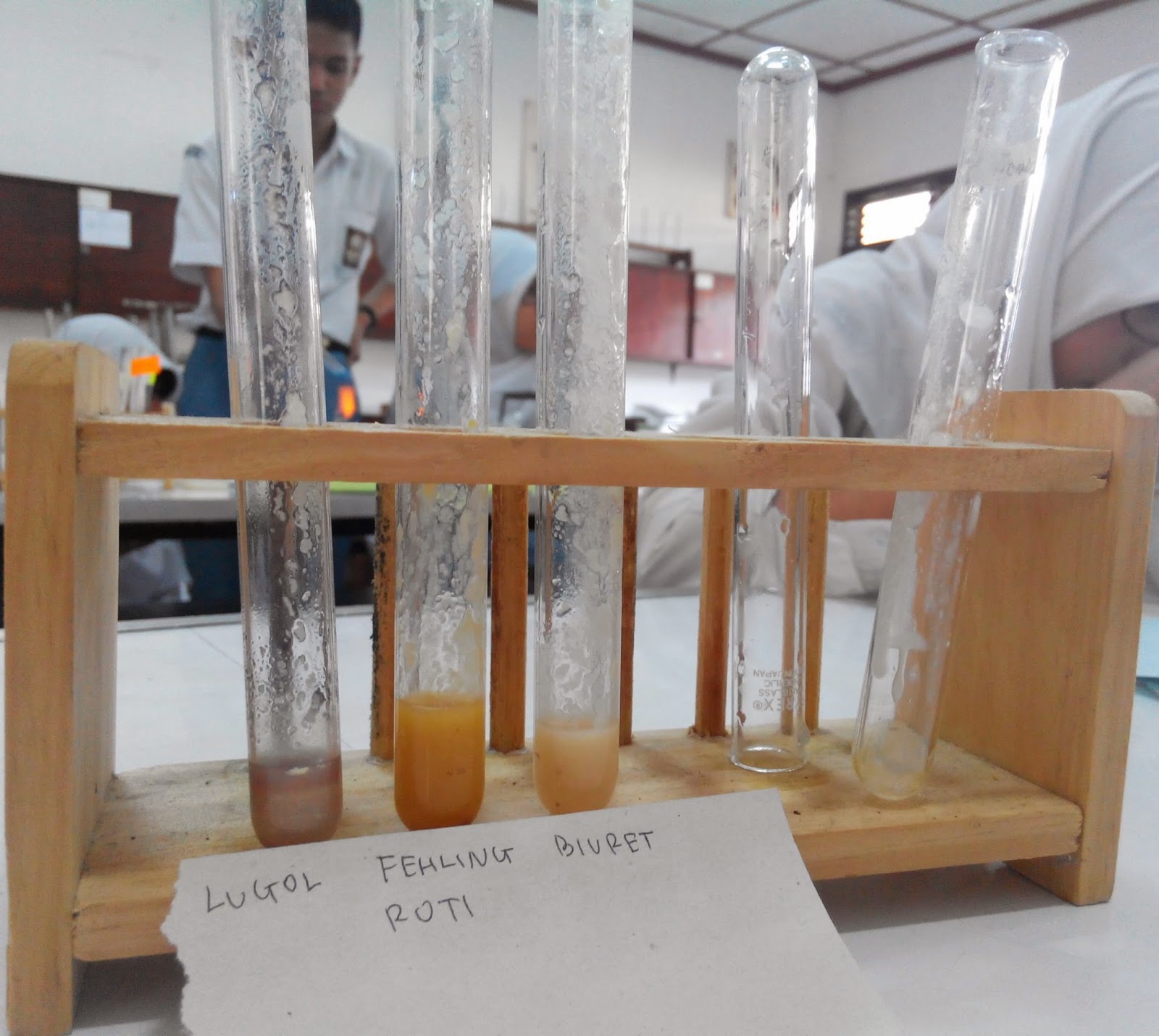 Pembahasan Laporan Praktikum Uji Makanan - CARAKUBERBAGI