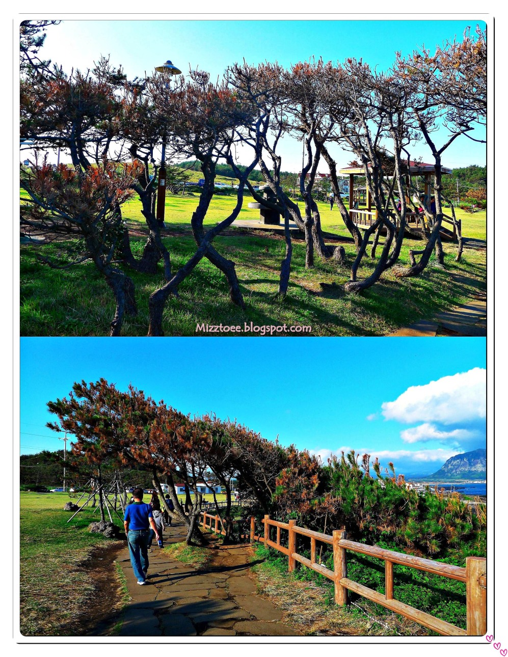 Fun Fun Fun: korea Free and easy (Jeju) :songak mountain, Yongmeori ...