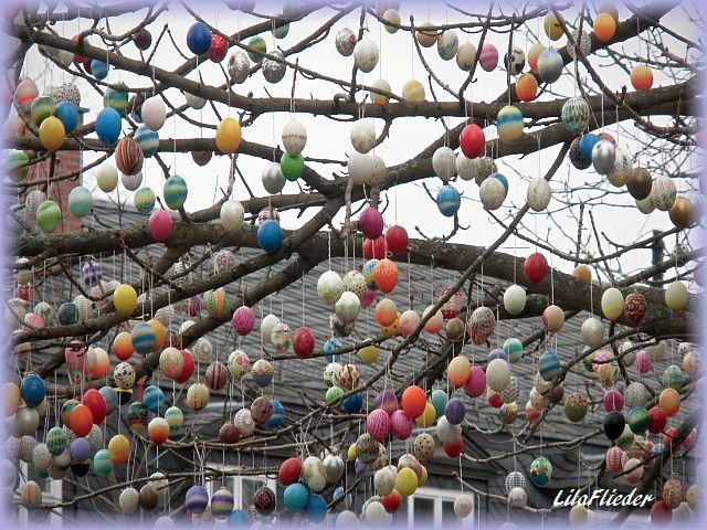 Lila-Flieder-Garten: Ostereierbaum in Saalfeld - Die Tradition lebt weiter!