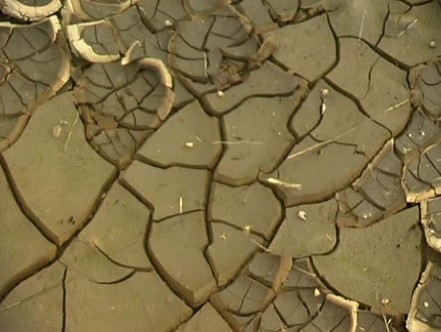 Balkan Ecology Project : Small Pond Installations for Irrigation and ...