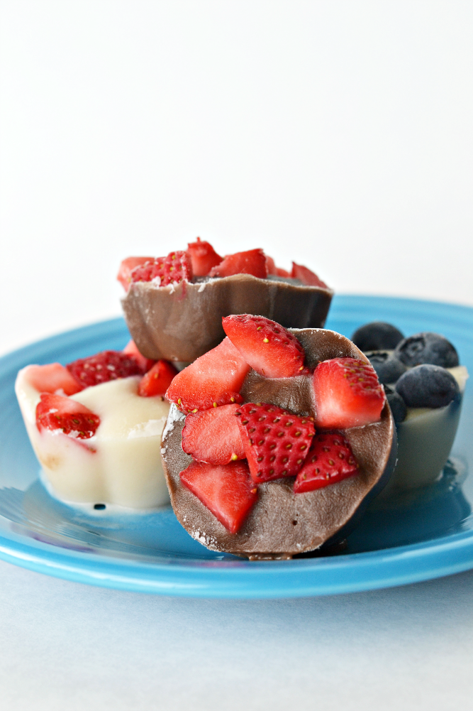 The Life of Jennifer Dawn: Fruity Frozen Pudding Bites