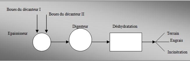 Traitement des boues